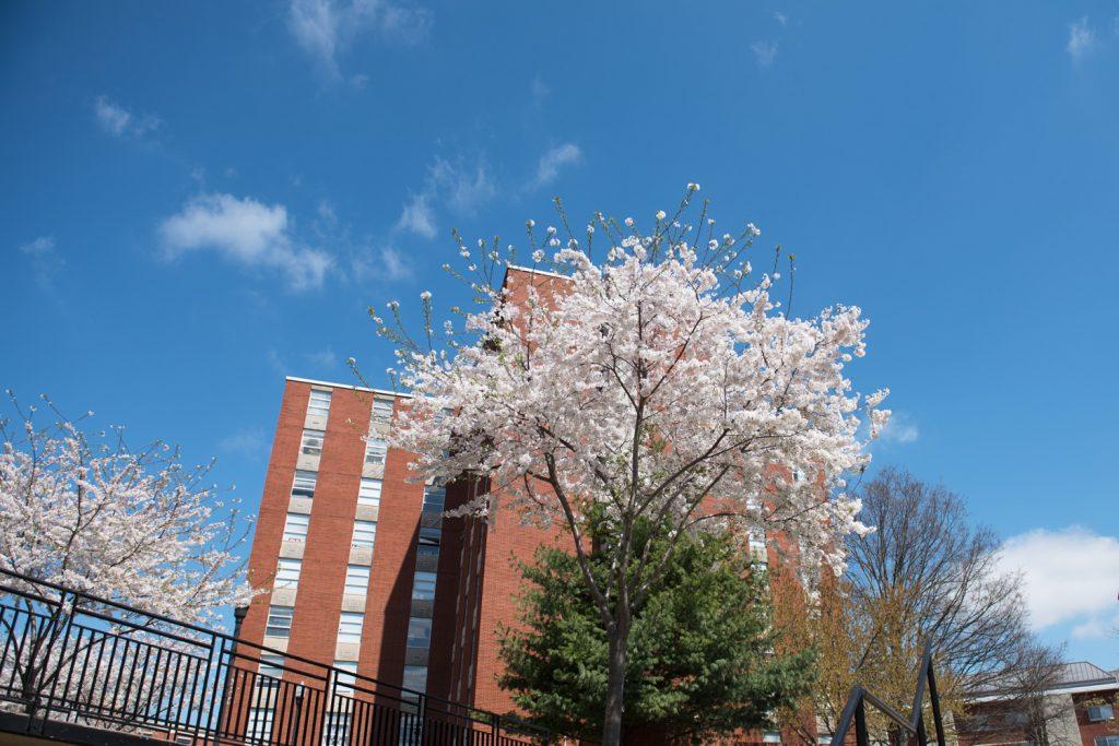 6 things Tim Caboni should know about WKU - Talisman 6 things Tim Caboni should know about WKU - Talisman